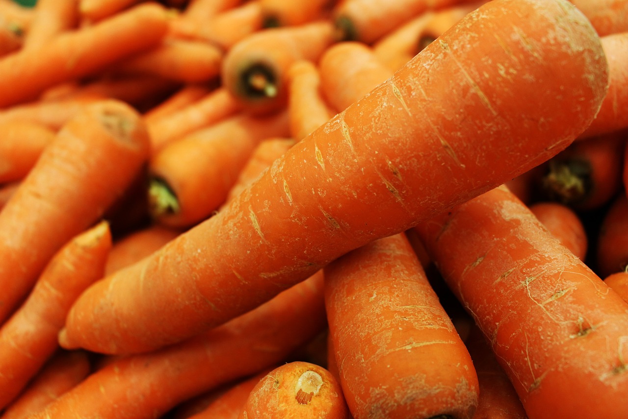 Comment congeler des carottes ? - Pratique.ch
